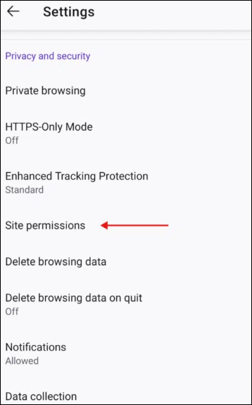 How to enable Camera access